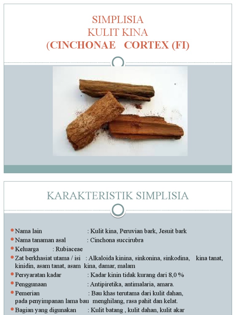 Karakteristik Kulit Kina (Cinchonae Cortex) | PDF