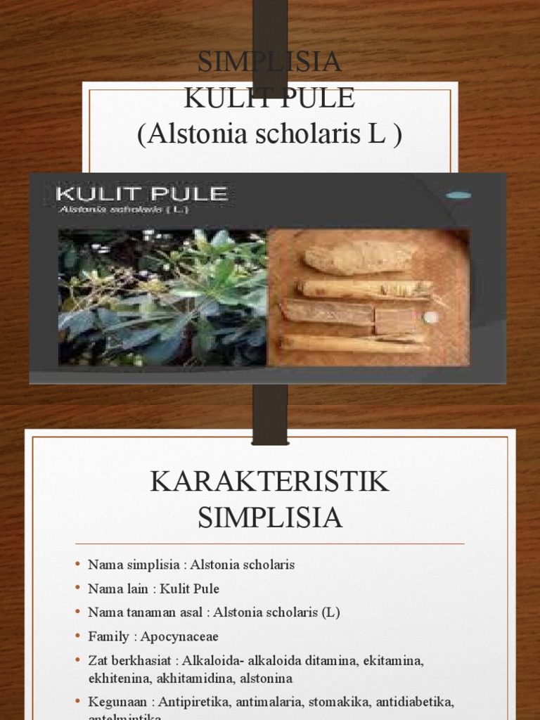 SIMPLISIA Kulit Pule | PDF
