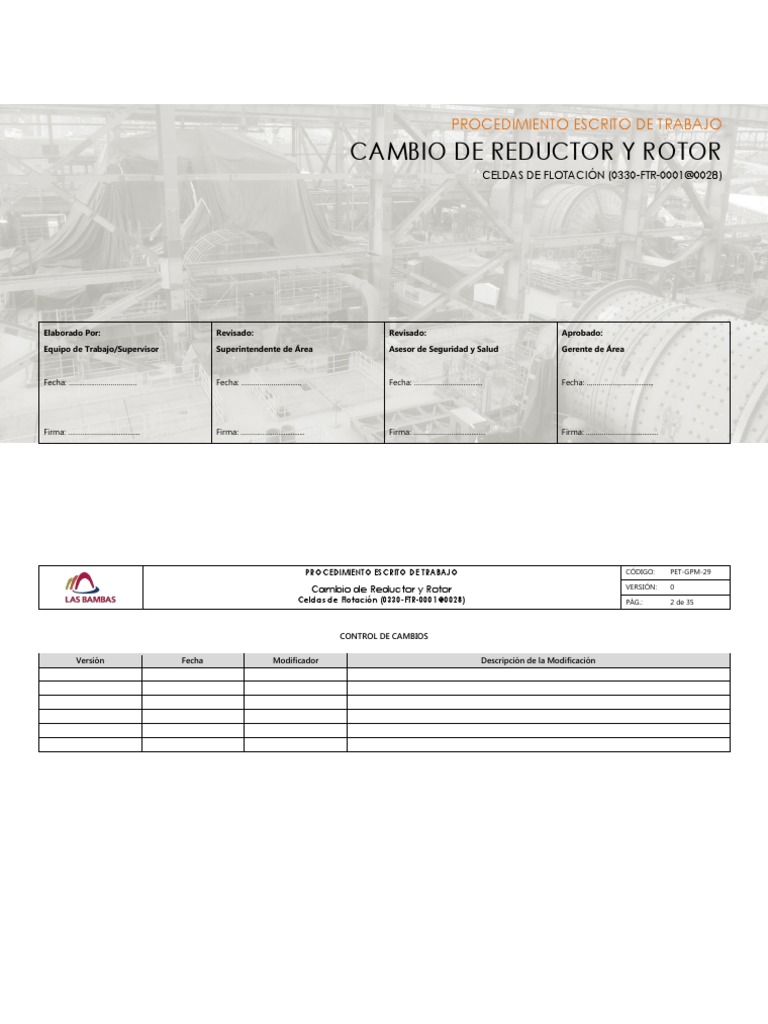 Pet Cambio de Reductor y Rotor | PDF | Naturaleza | Science