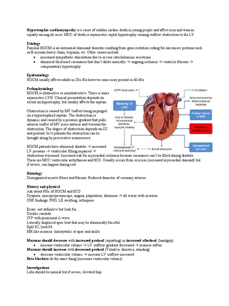 Hypertrophic Cardiomyopathy | PDF | Cardiovascular System | Cardiology