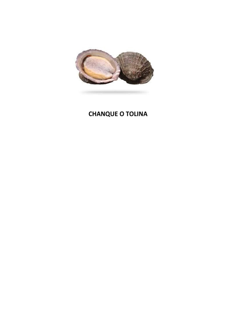 Chanque o Tolina | PDF