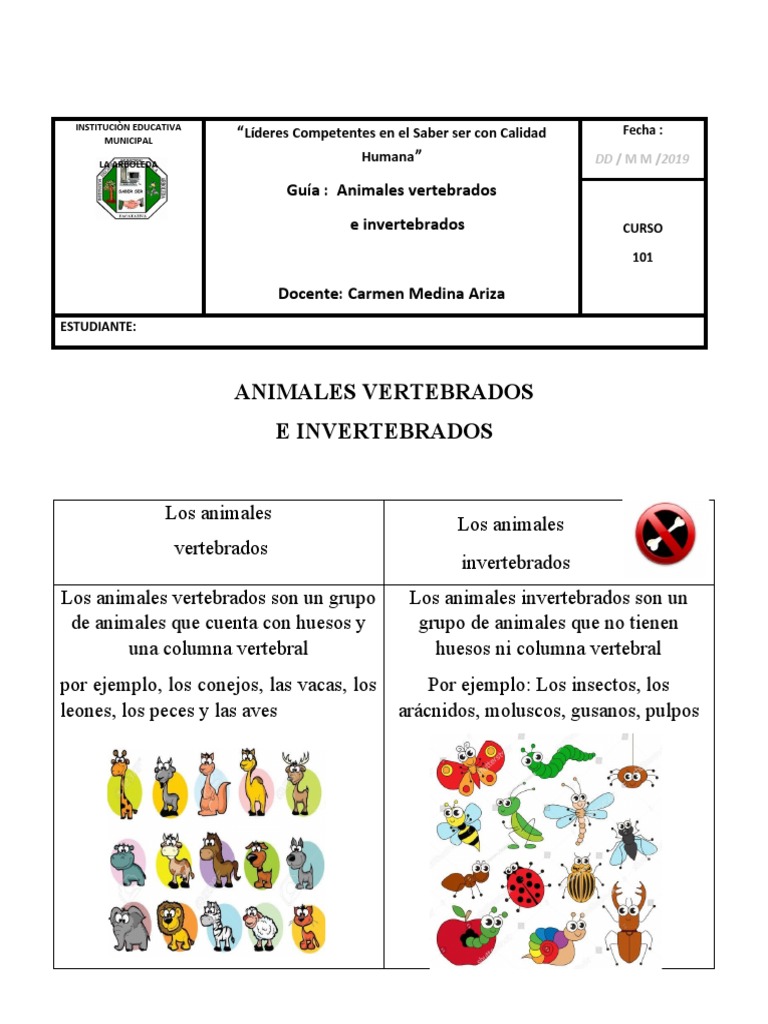 Actividades sobre Vertebrados e Invertebrados | PDF