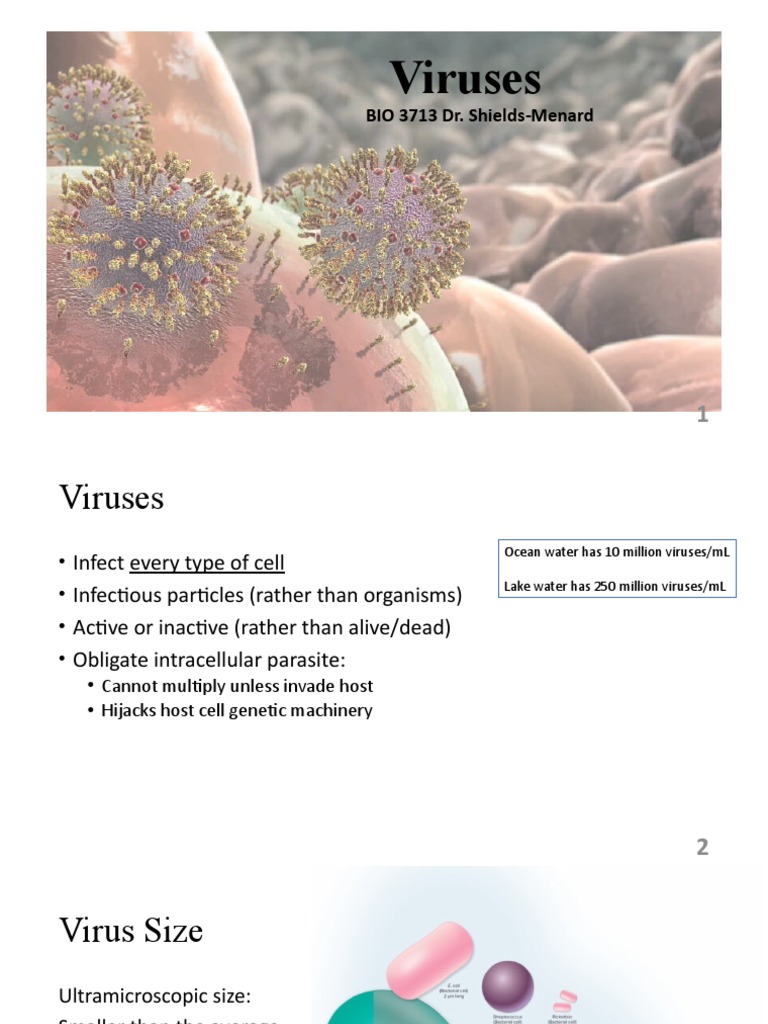 Viruses Part 1 Summer Online | PDF | Virus | Influenza