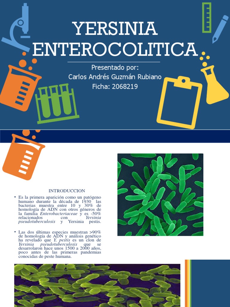 Yersinia Enterocolitica Características Y Patogenicidad Pdf