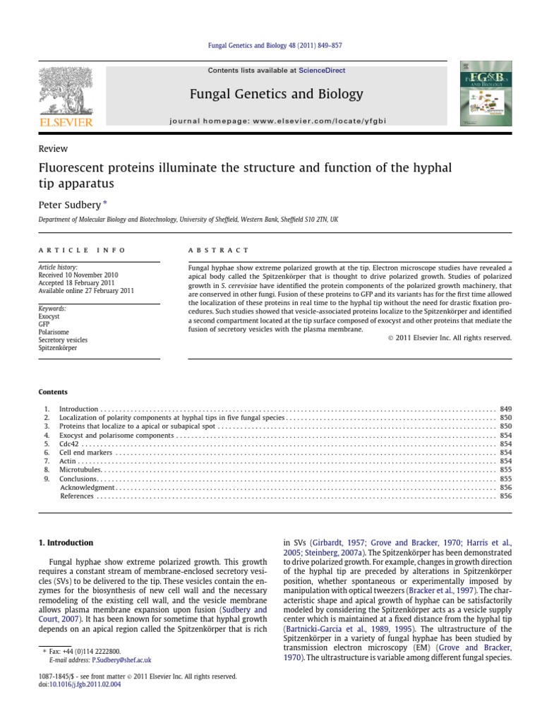 Fungal Genetics and Biology: Peter Sudbery | PDF | Fungus | Anatomy