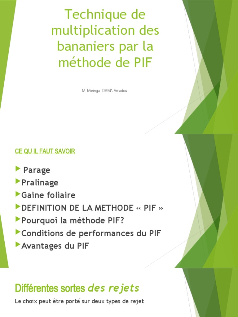 Multiplication des bananiers par PIF | PDF | Bois | Plantes