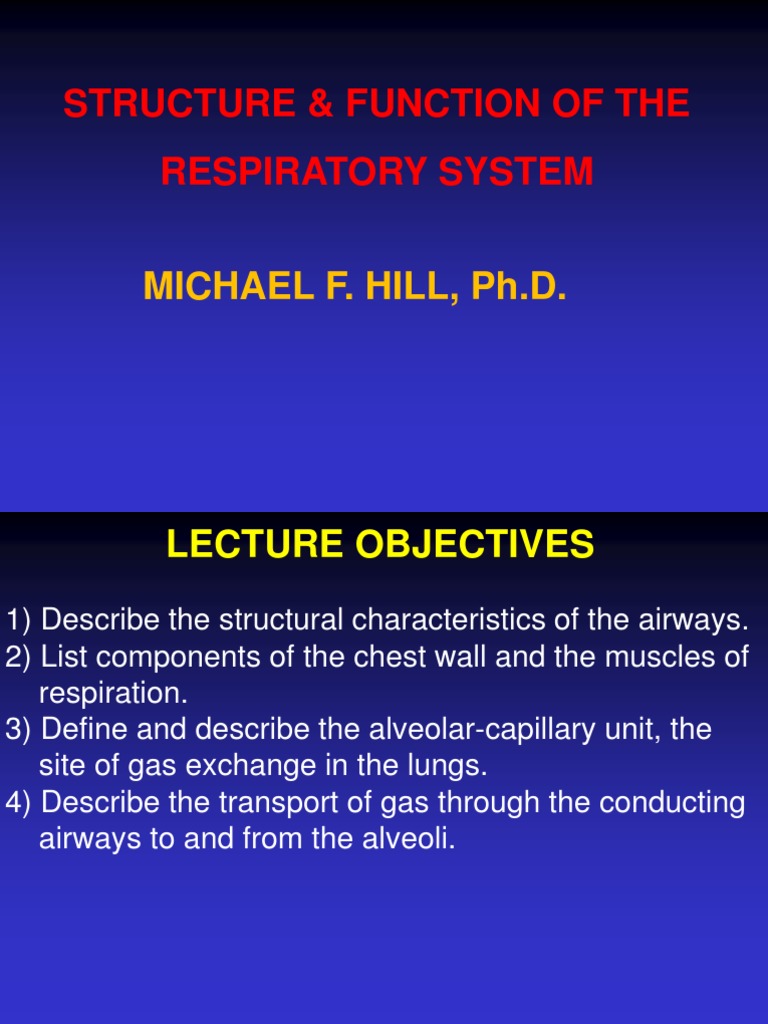 Structure & Function of The Respiratory System: Michael F. Hill, PH.D ...