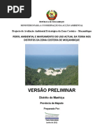 Importância Dos Mangais para o Meio Ambiente | PDF | Mangue | Ambiente ...