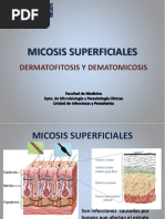 Portil: Crema para Infecciones Cutáneas | PDF | Antimicrobiano ...