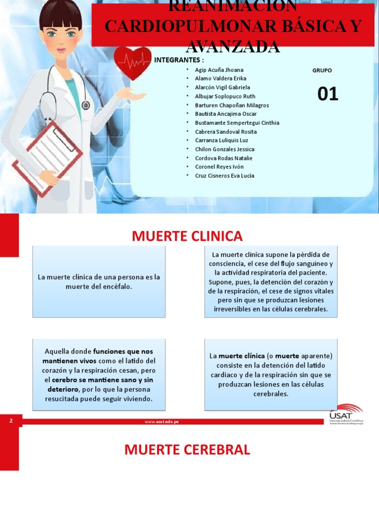 Guía RCP | PDF | Reanimación cardiopulmonar | Paro cardíaco