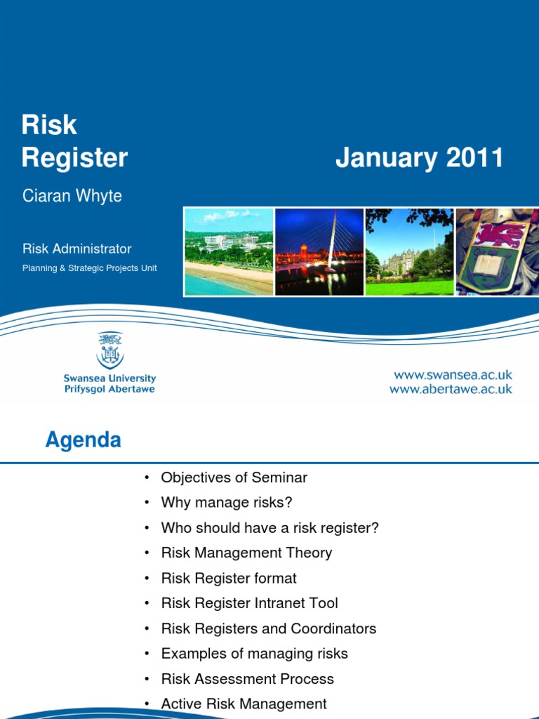 03 - Risk Register PDF | PDF | Risk Management | Financial Risk