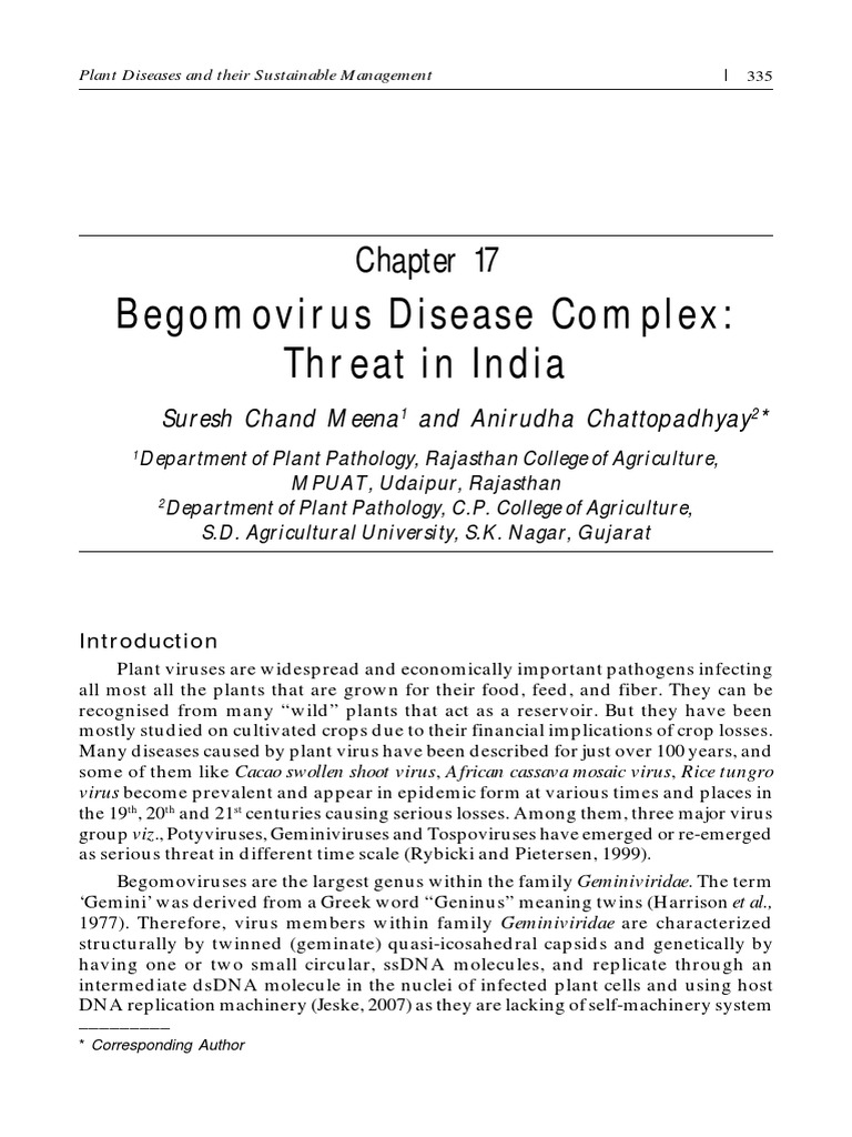 Begomovirus Disease Complex | PDF | Virus | Rna Interference
