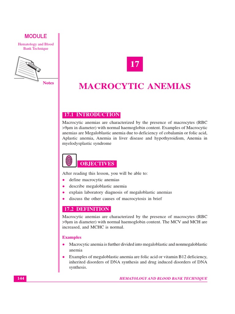 Macrocytic Anemias: Notes | PDF | Anemia | Vitamin B12