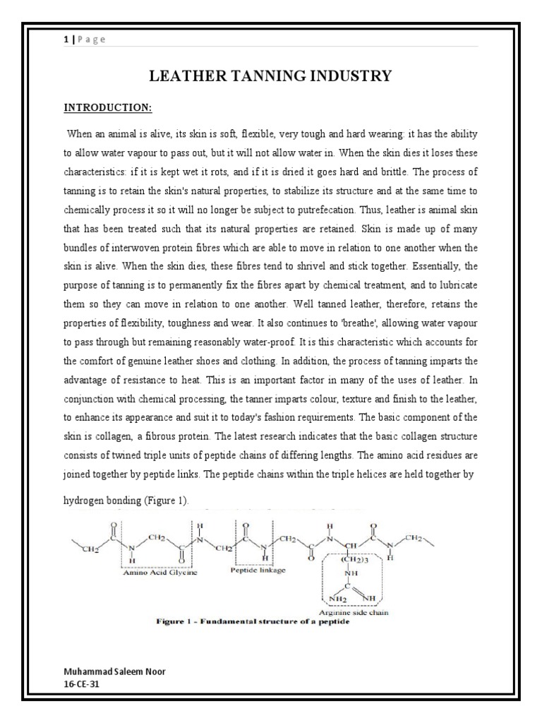 Leather Tanning Industry: Muhammad Saleem Noor 16-CE-31 | PDF | Leather ...