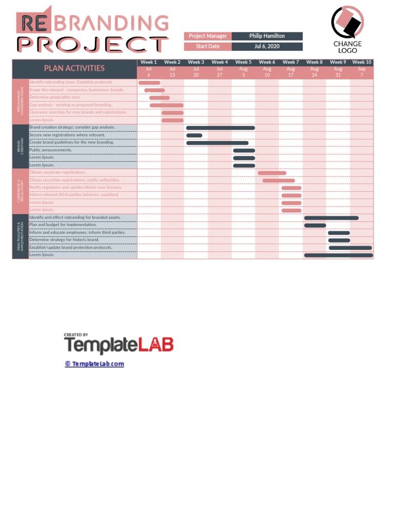 Rebranding Project Plan Template | PDF
