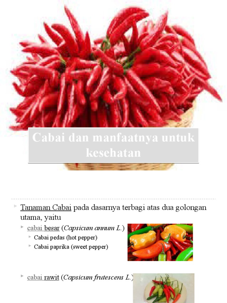 Manfaat Kesehatan Cabai untuk Tubuh | PDF