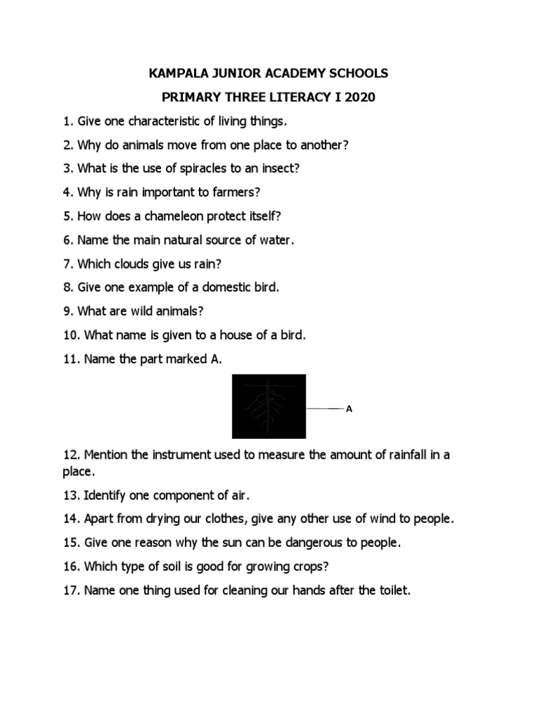 Kampala Junior Academy Schools Primary Three Literacy I 2020 | PDF ...