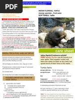 SAFE-T Protocol With C-SSRS - Unit Interventions | PDF | Suicide | Self ...