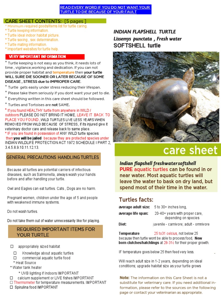 Aquatic Turtles Care Sheet Turtles Facts | PDF | Turtle | Foods