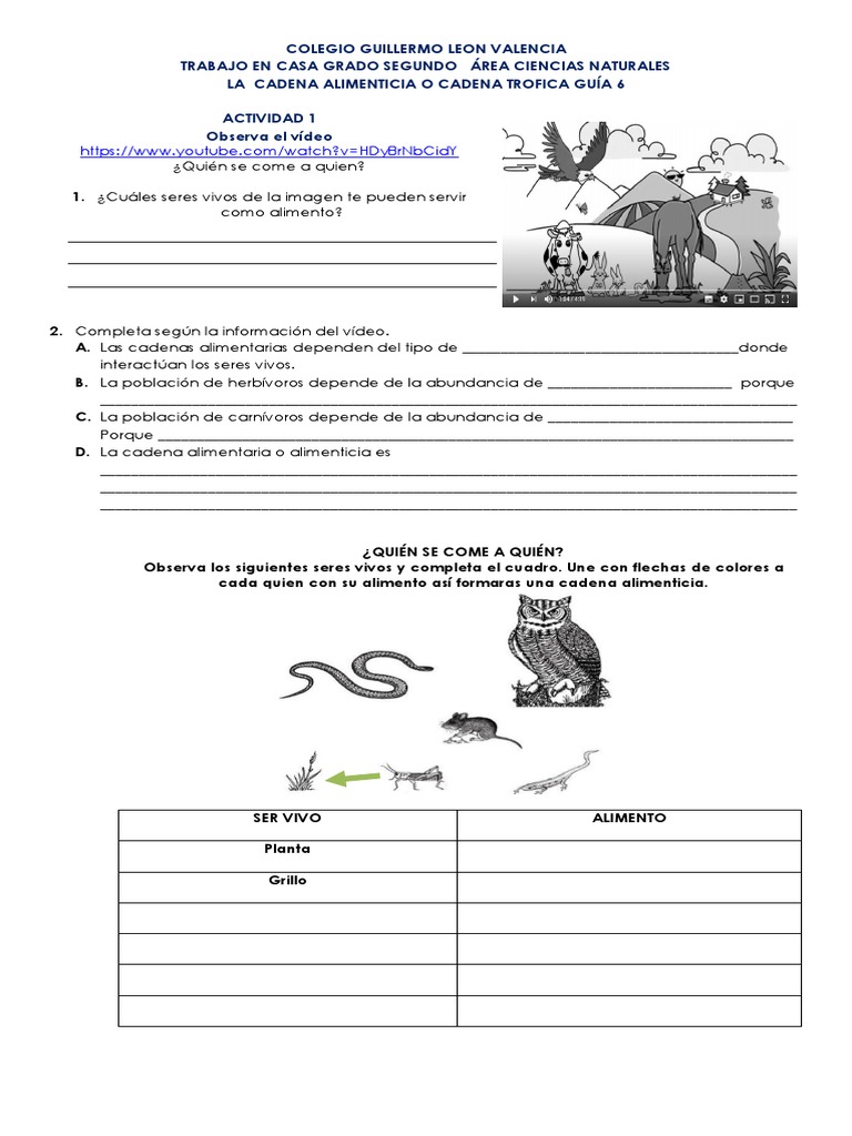 Actividades sobre la Cadena Alimenticia | PDF | Salud y bienestar ...