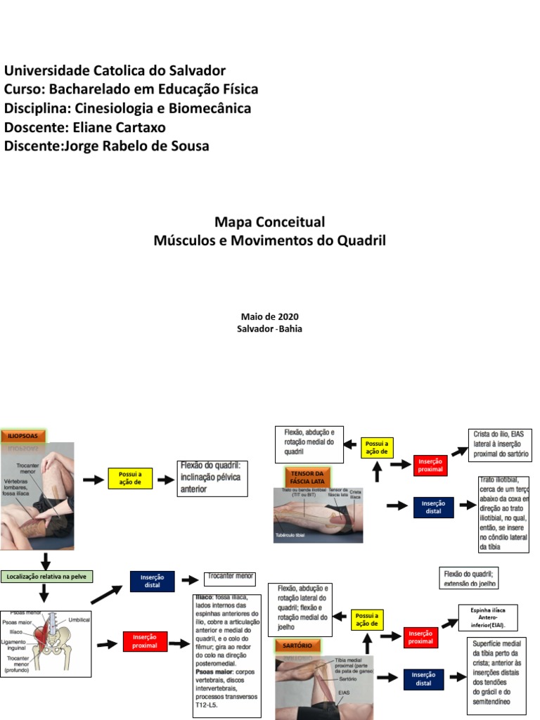 Mapa Conceitual Jorge Rabelo 2020 1 Cinesiologia | PDF | Joelho ...