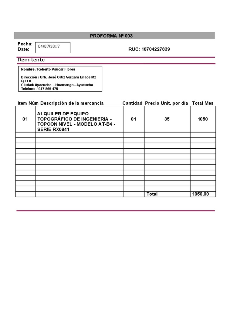 Modelo PROFORMA | PDF