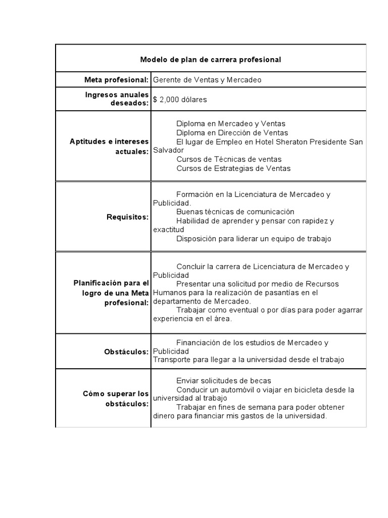 Modelo de Plan de Carrera Profesional | PDF