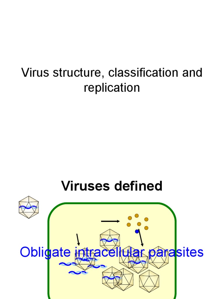 Virus Structure, Classification & Replication | PDF | Virus | Diseases ...