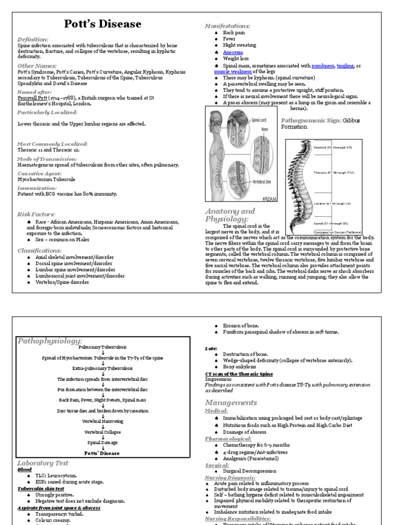 Potts Disease | PDF | Vertebral Column | Spinal Cord