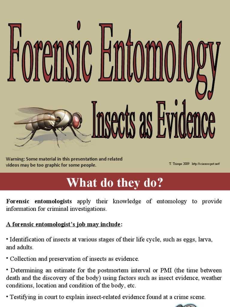 Forensic Entomology | PDF | Fly | Beetle