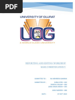 Different Types of Beats in Journalism | PDF