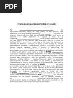Modelo de Poder Especial | PDF | Venezuela | Instituciones sociales