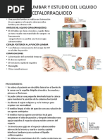 Perímetro Torácico | PDF | Salud y bienestar | Ciencia y matemáticas