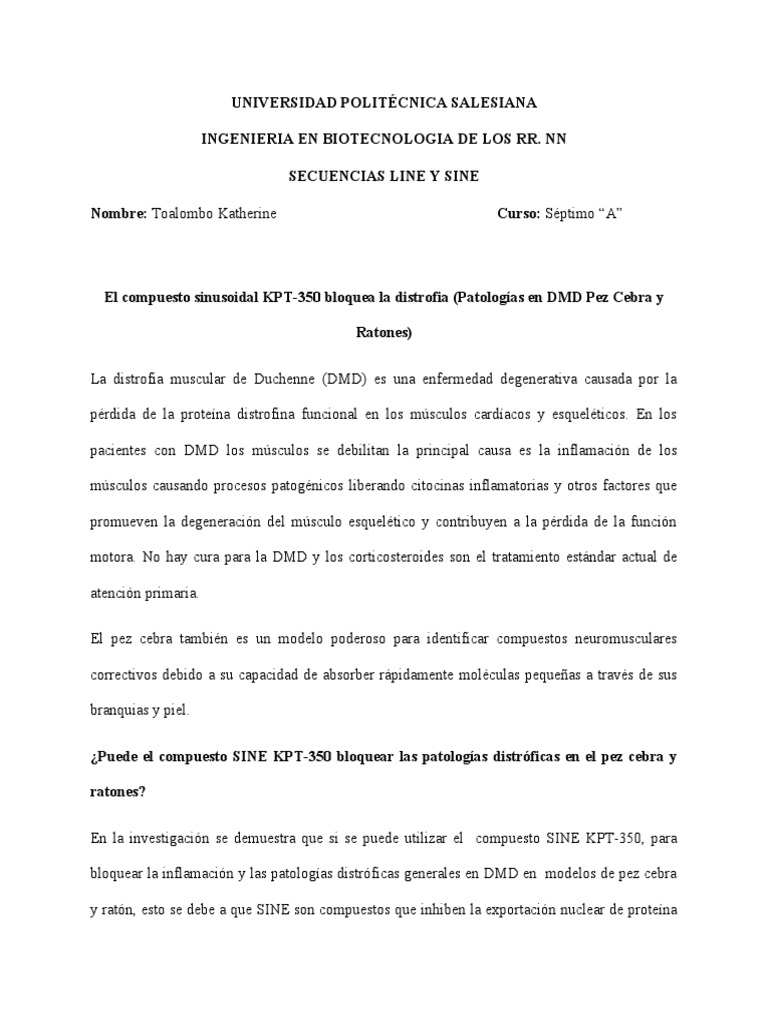 Bloquea distrofia muscular con SINE KPT-350 | PDF | Cariotipo | Cromosoma