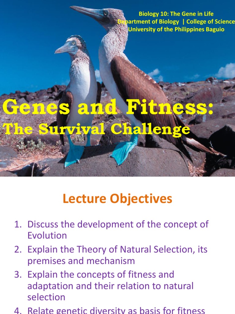 Genes and Fitness: Understanding the Role of Genetic Diversity in ...