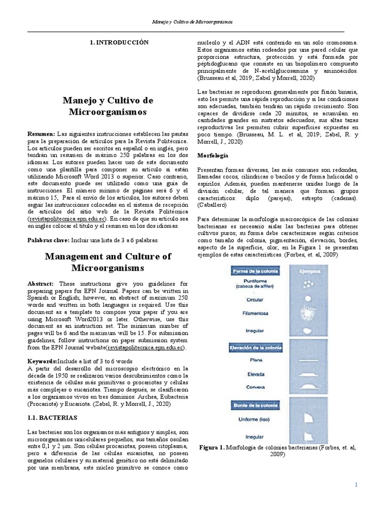 Informe 1 Micro | PDF | Las bacterias | Microorganismo