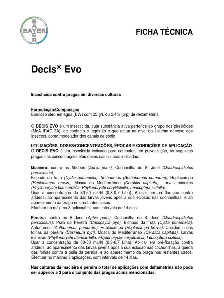 Decis Evo | PDF | Culinária vegana | Roupas