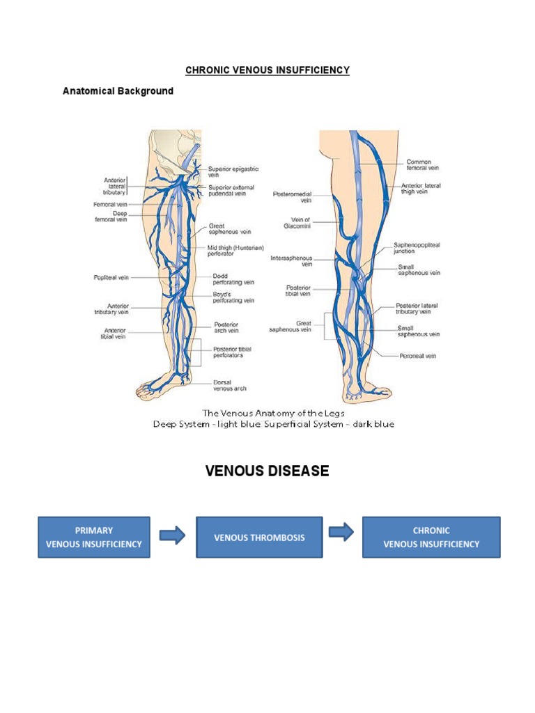 Cvi Medback | PDF | Vein | Edema