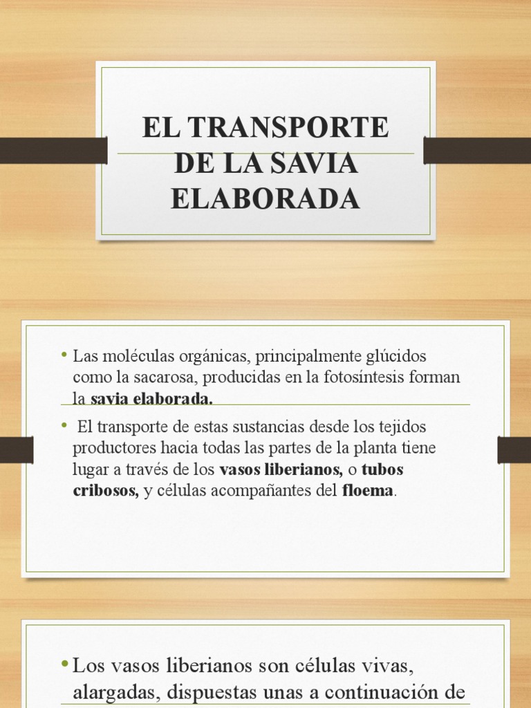 El transporte de la savia elaborada y el metabolismo y almacenamiento ...