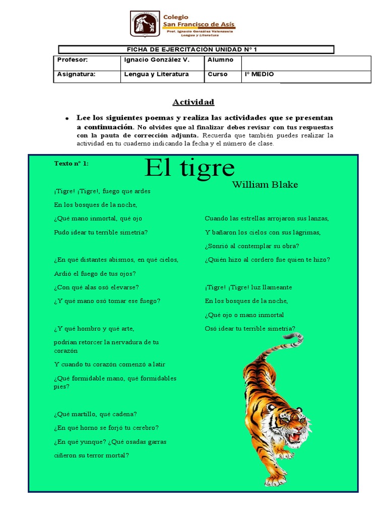 El tigre: Actividad