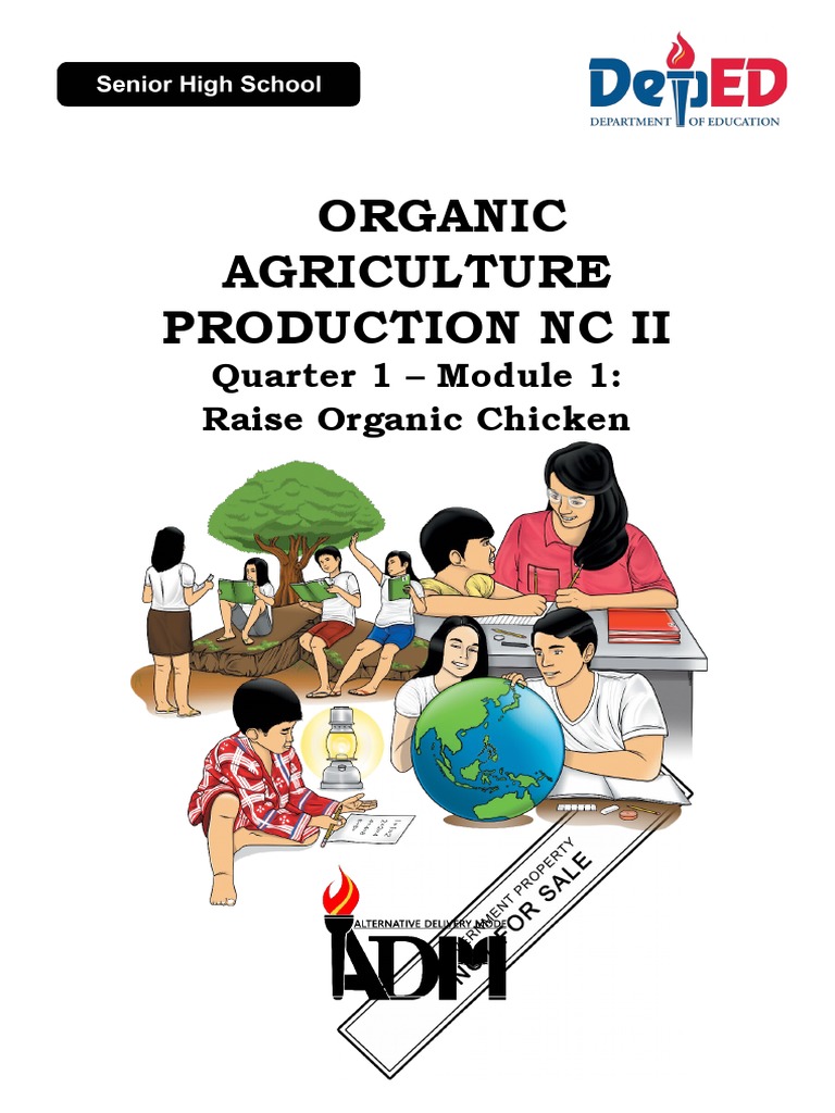 22 Revised Chicken | PDF | Chicken | Birds