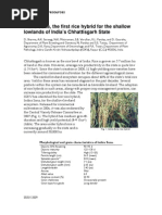 NSIC Seed Variety Catalogue 2023 | PDF | Rice | Organisms