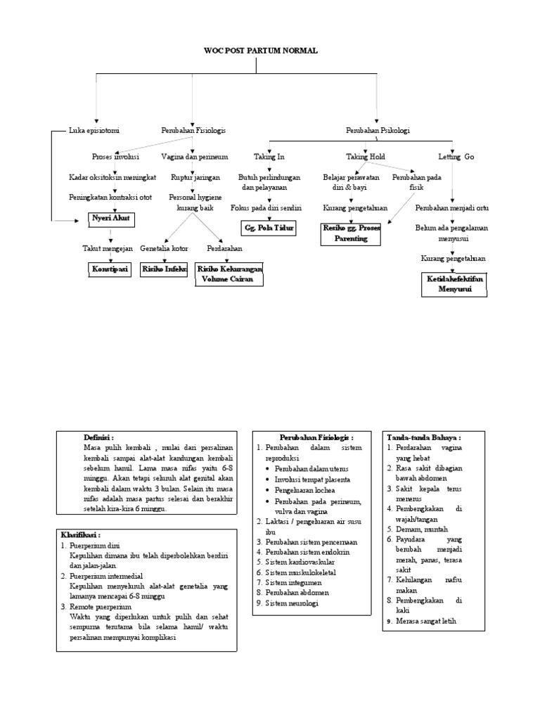 Panduan WOC Post Partum Normal | PDF