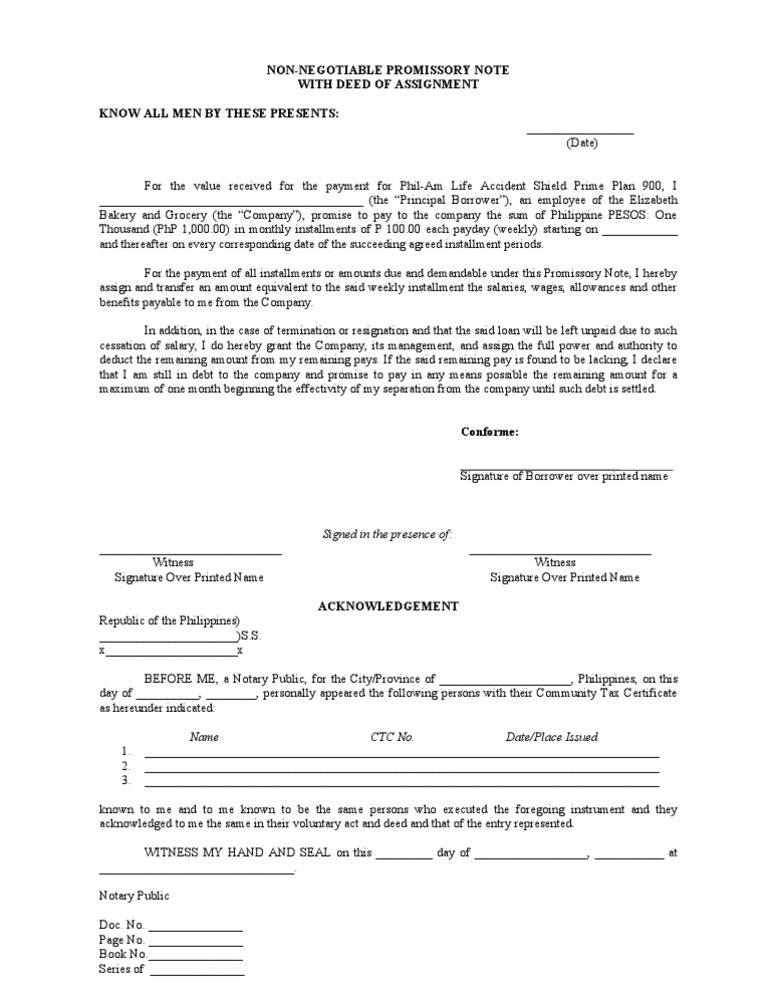 Promissory | PDF | Promissory Note | Notary Public