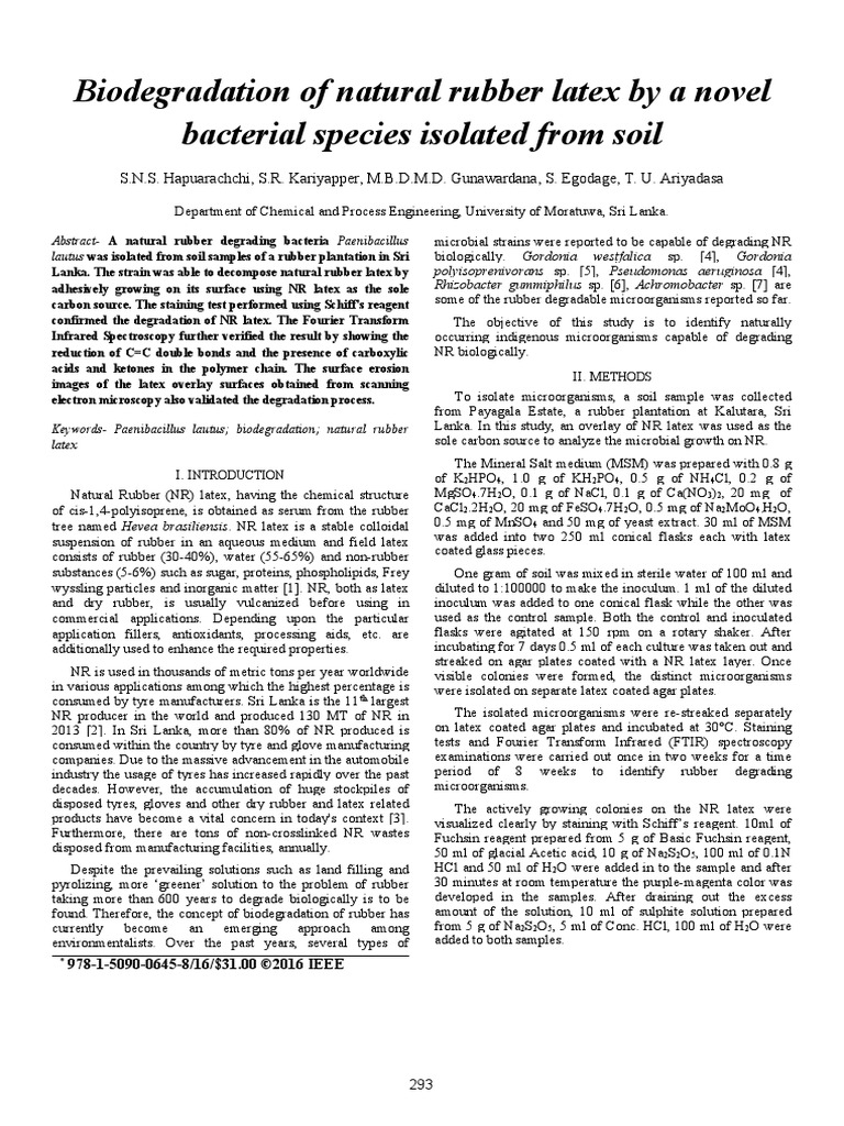 NR by Bacterial | PDF | Natural Rubber | Biodegradation