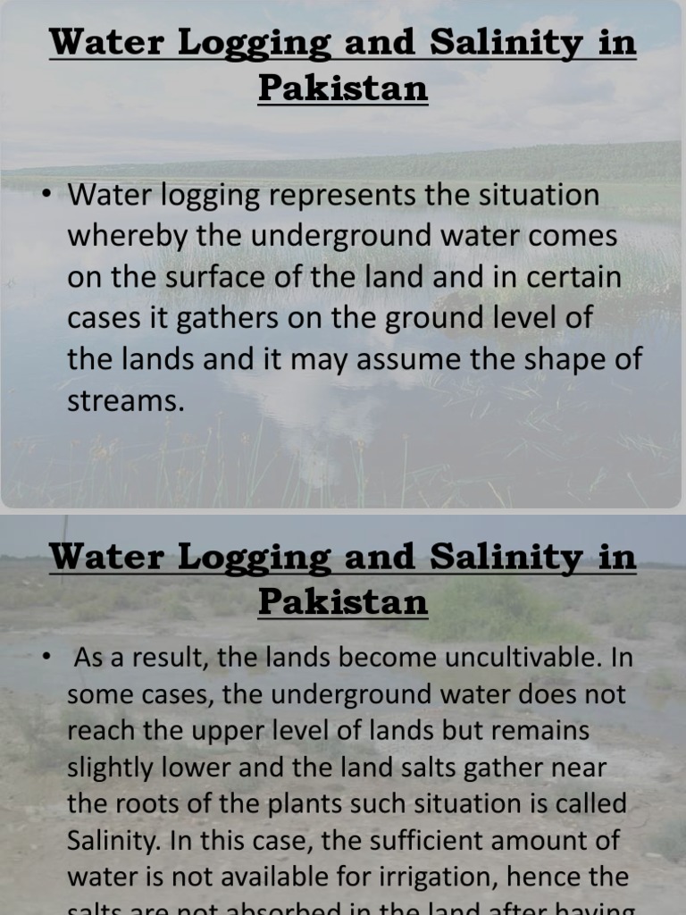 Water Logging Salinity | PDF | Earth Sciences | Plants