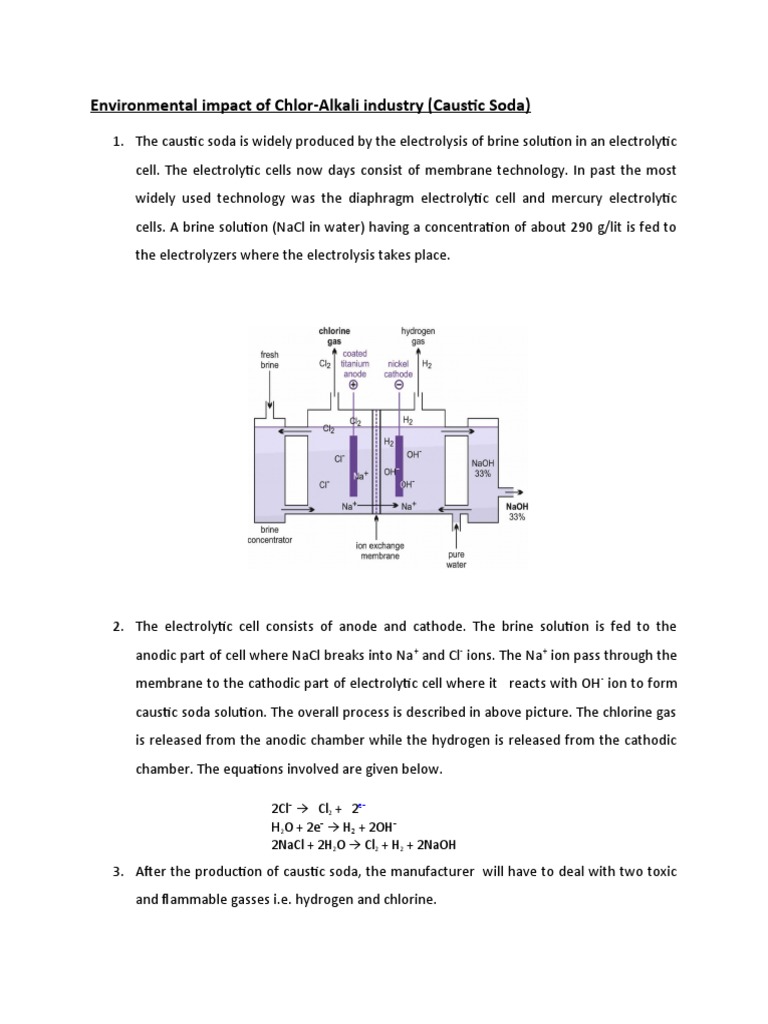Caustic Soda Industry-1 | PDF | Chlorine | Chemical Engineering