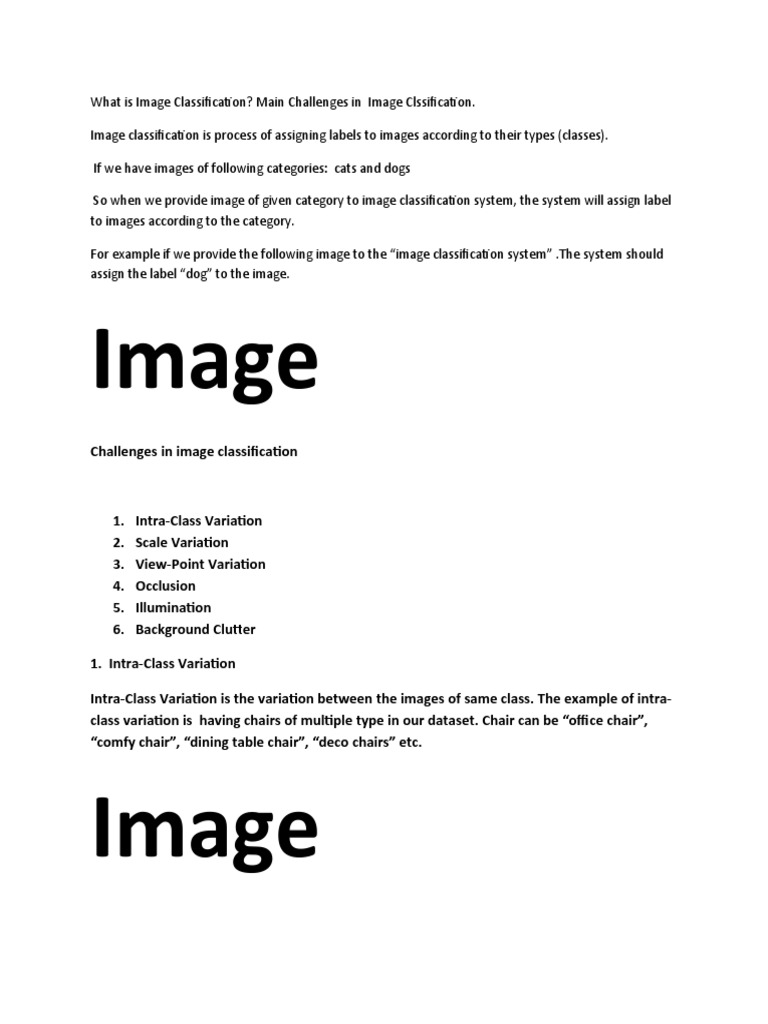 Image Classification Challenges | PDF | Computer Vision | Lighting