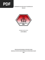 LP Igd - Triase | PDF