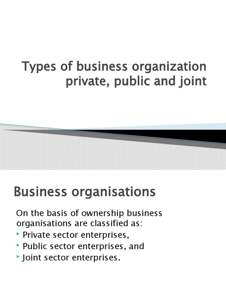 Types of Busi Org | PDF | Joint Stock Company | Corporations